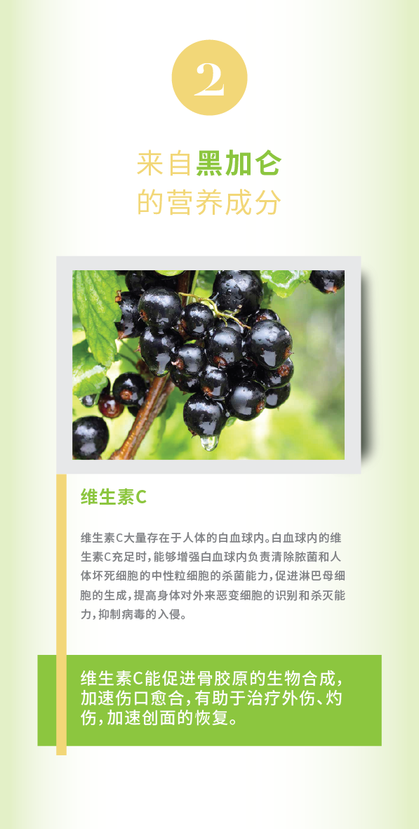 Website – BActive Product Overview 2020-10 v01-05 – BPI2U