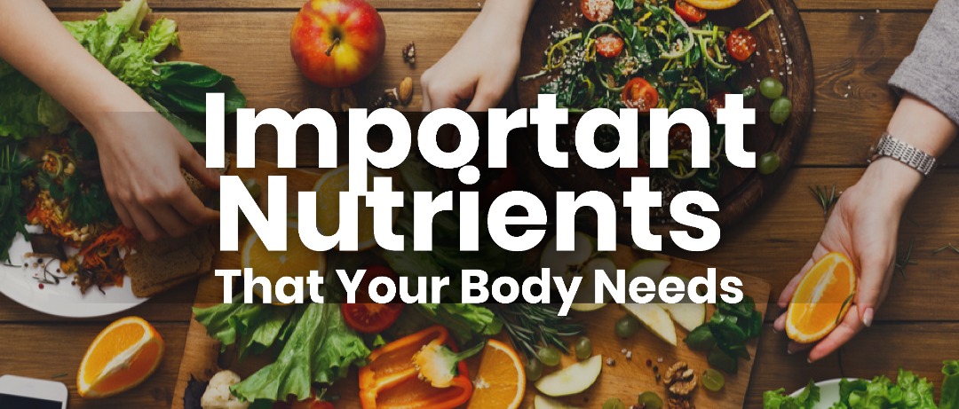 Important Nutrients That Your Body Needs – BPI2U