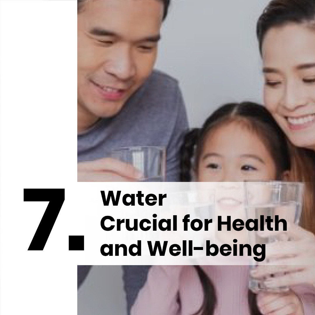 Important Nutrients That Your Body Needs – BPI2U